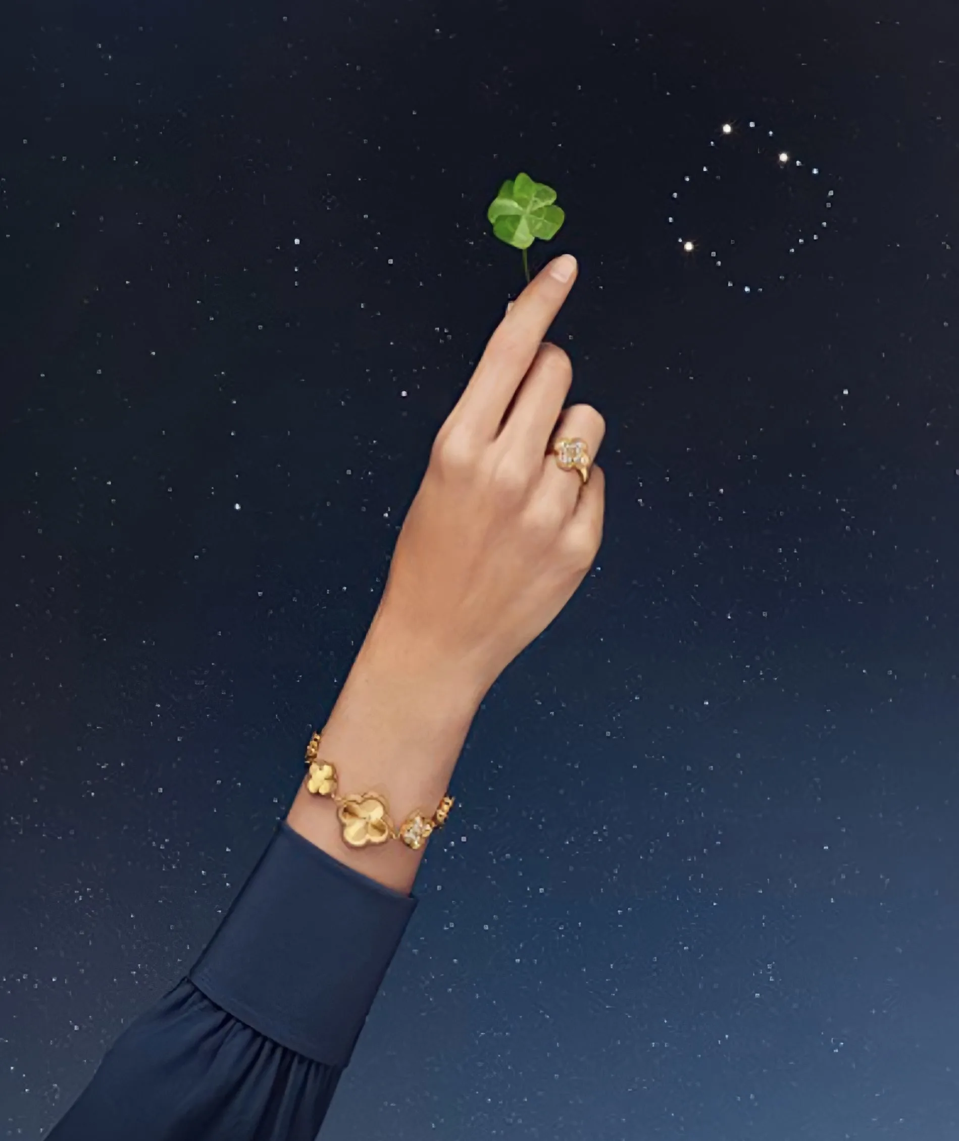 Van Cleef & Arpels’in Göz Kamaştıran Web Sitesi Yenilendi ...